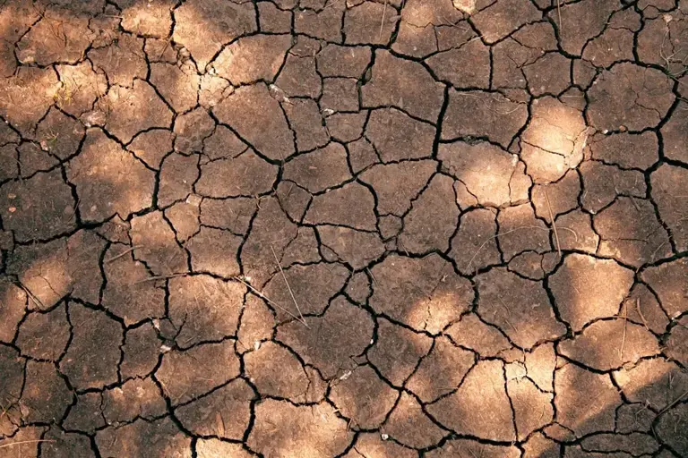 NOAA unveils winter 2025–26 forecast: What it means for the US