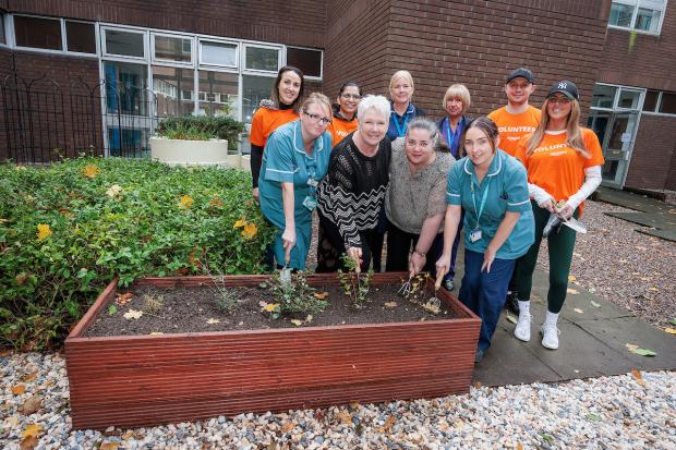 Amazon team transforms hospital garden to create peaceful environment