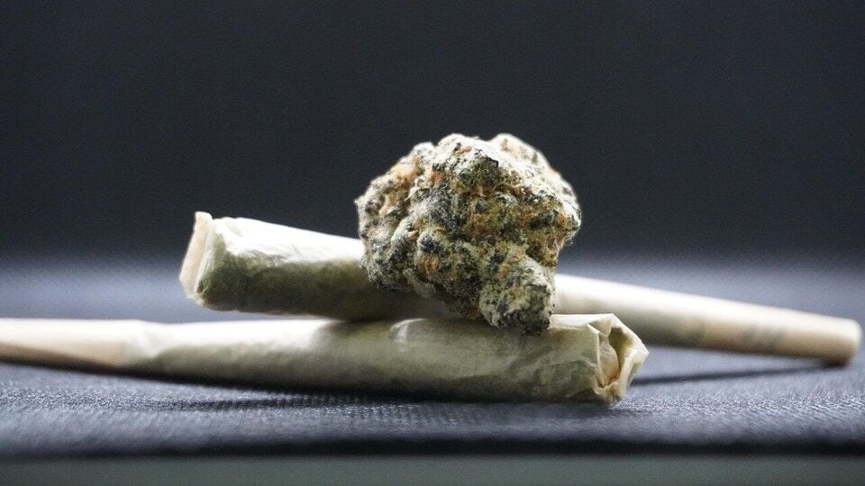 Big shift in US drug policy? Trump likely to ease curbs on marijuana ...