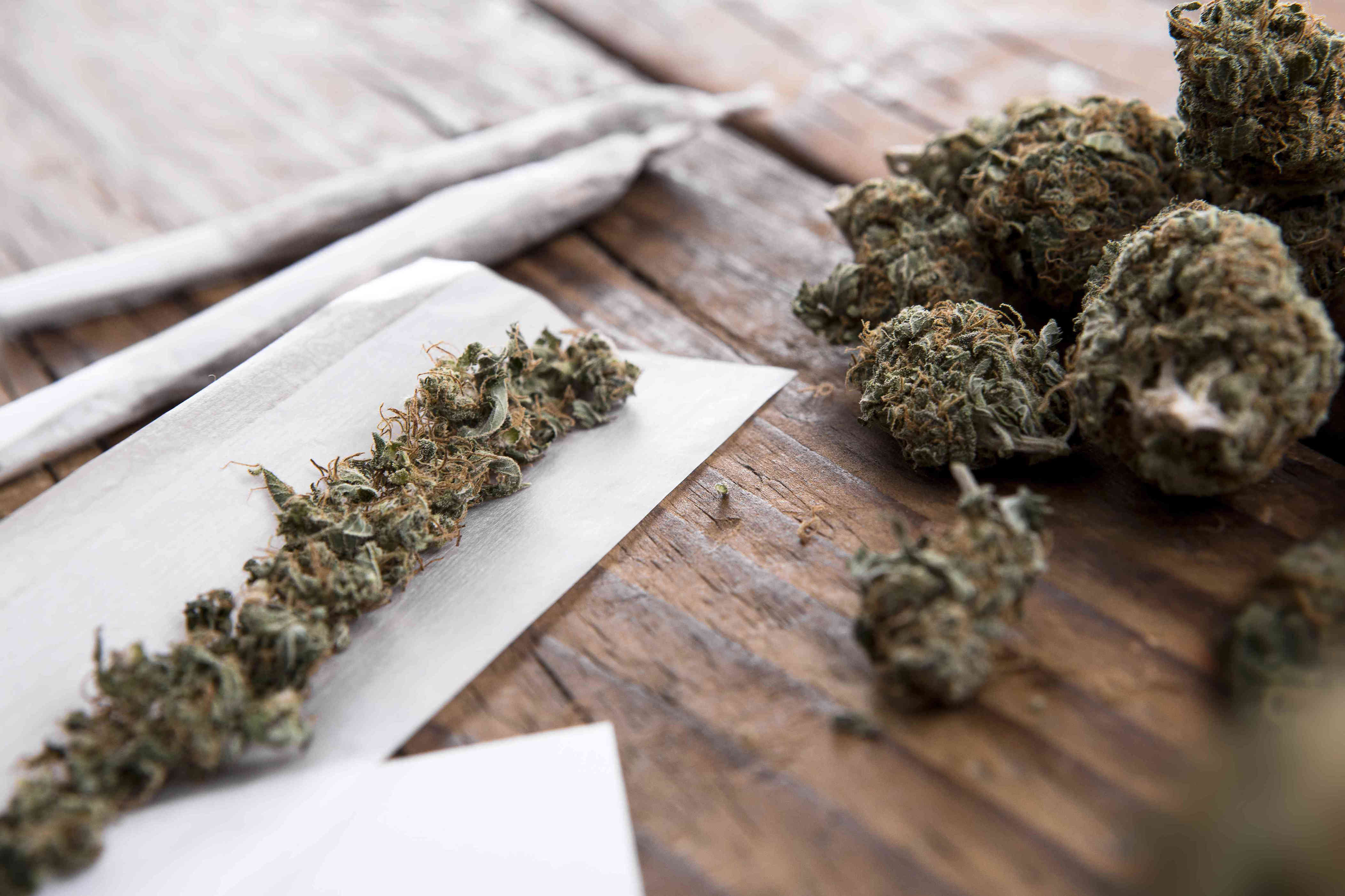 Marijuana stocks are soaring Friday on anticipation Trump could soon ...