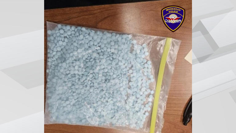 Moorhead police: Arrested Horizon Middle School student was in ...