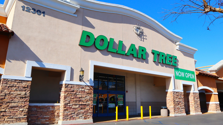 New dollar stores can actually decrease food access for communities ...