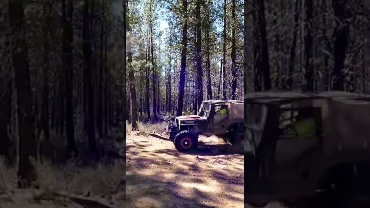 Why my Willys could handle anything!