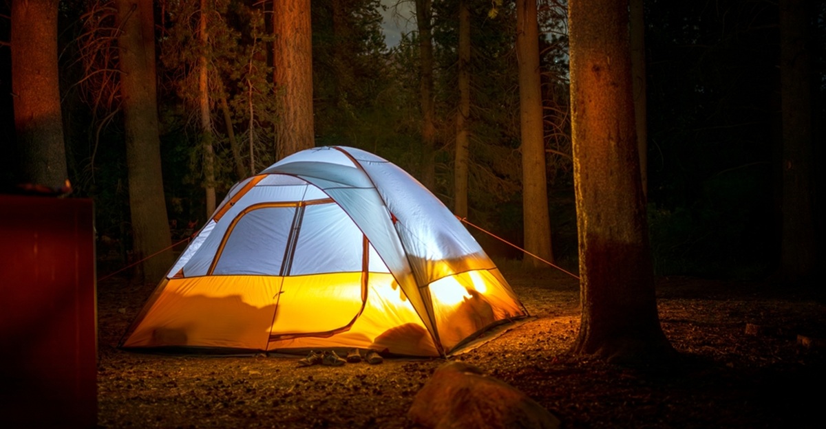 13 US camping trips with wildlife watching and starry summer nights
