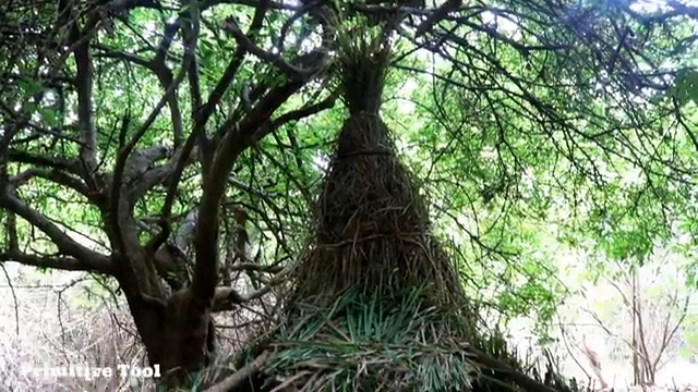 How to create an underground mud house that blends with nature