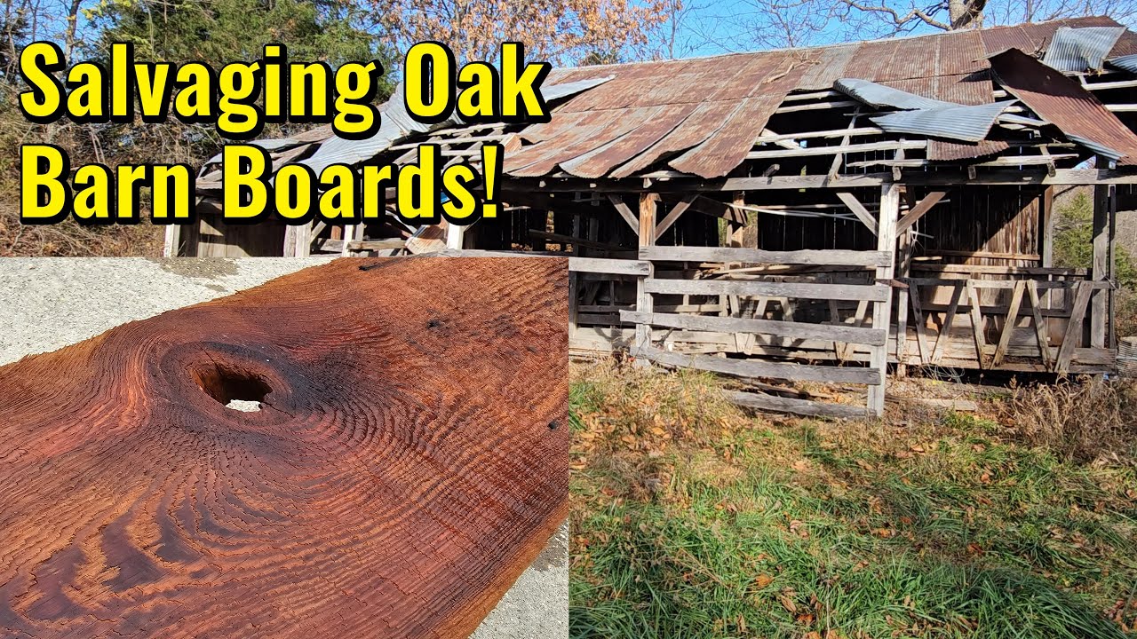 Salvaging old oak barn boards | Project 205 update