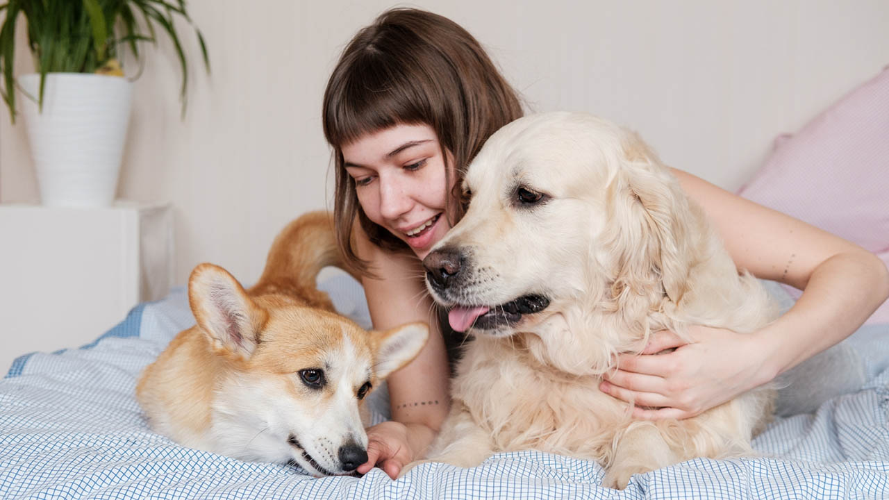 8 emotional traits people who talk to their pets tend to have