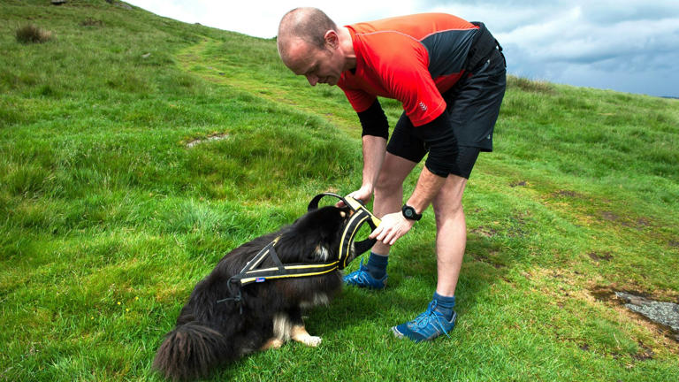 10 tips to get your dog ready for trail running