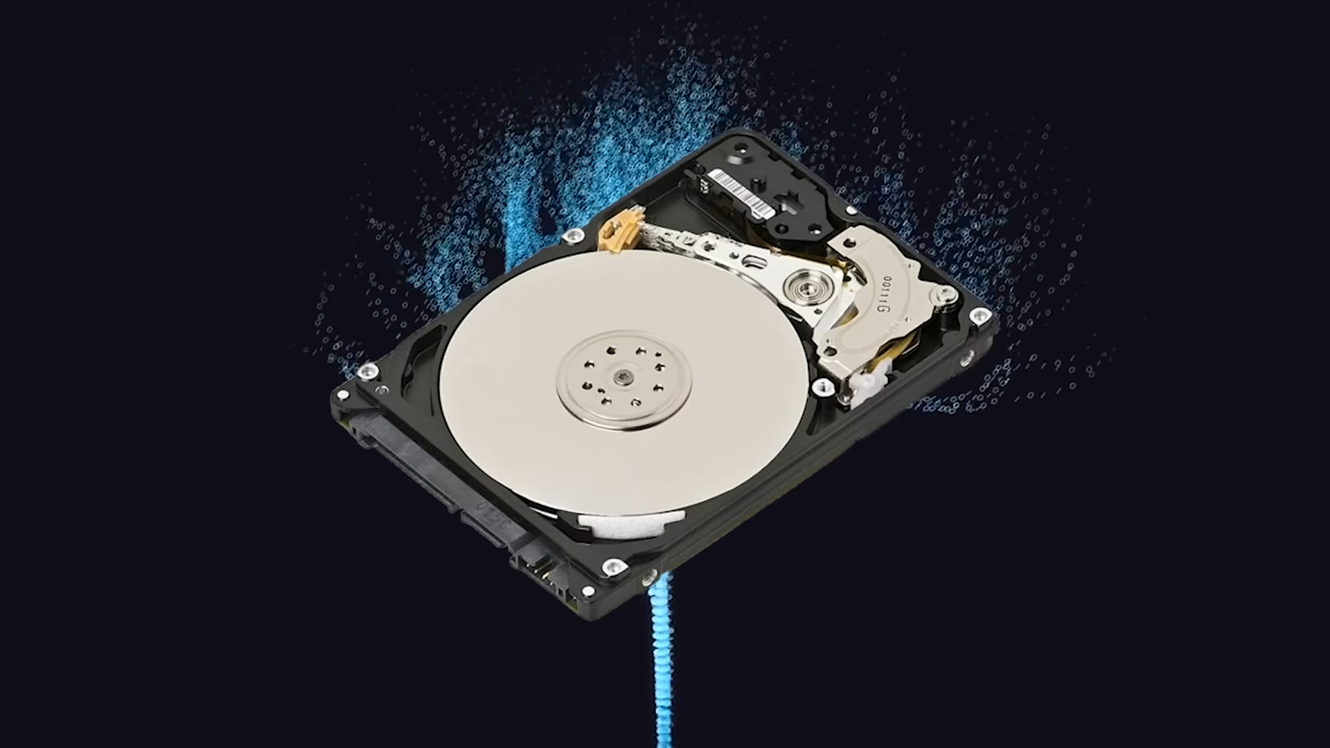 5 wild data structures every developer should know