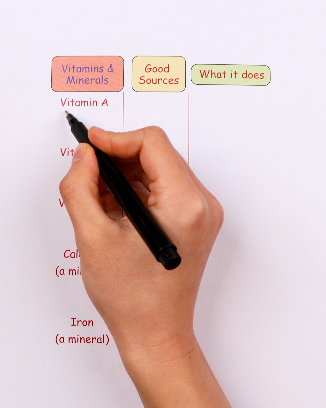 The ultimate guide to vitamins and minerals🥕🧀