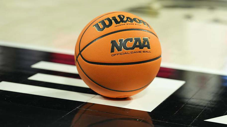 Freshmen step up for USF men's basketball in a big way as Bulls prepare ...