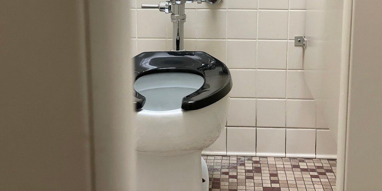 Can you only poo at home? A gastroenterologist explains what the ...