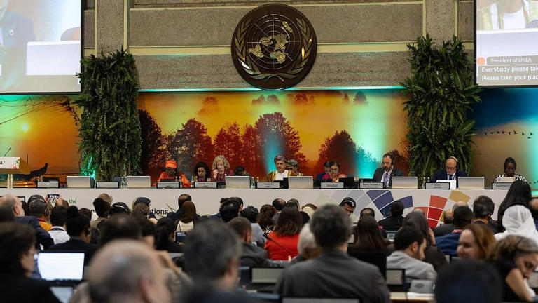 UNEA-7 adopts 11 resolutions, including India’s wildfire management ...