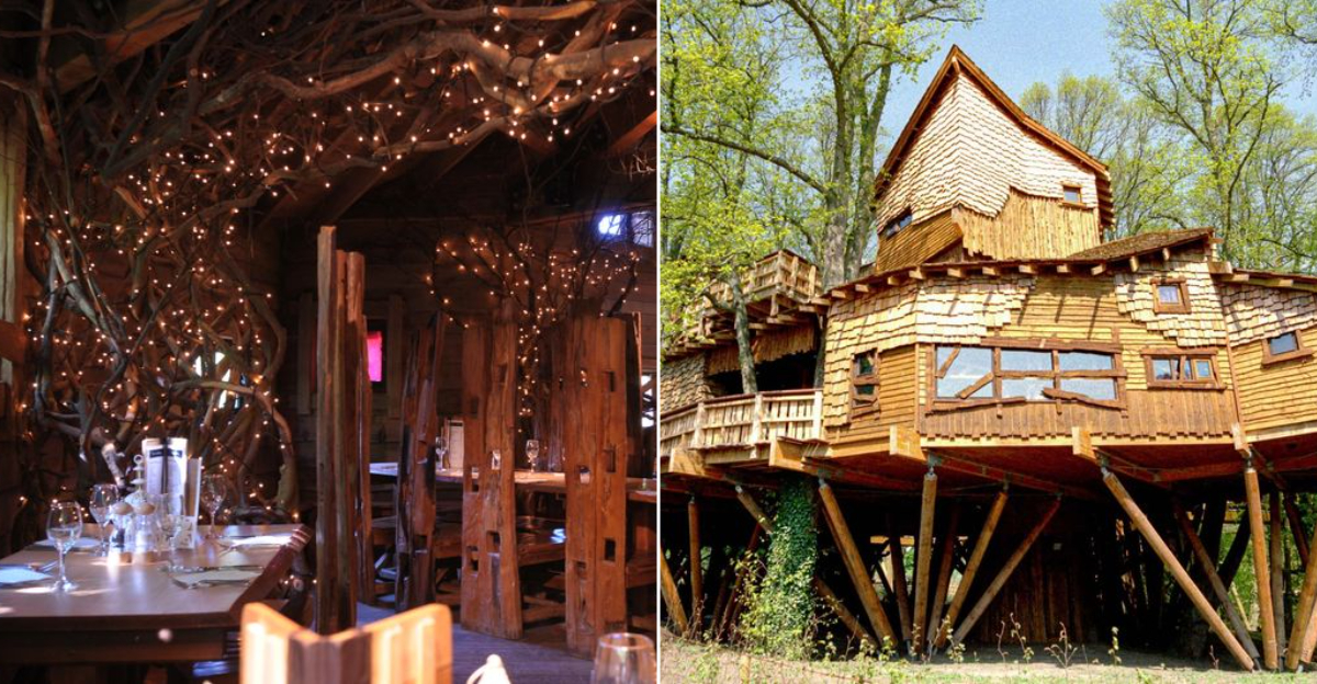 Step inside Britain’s most enchanting treehouse restaurant