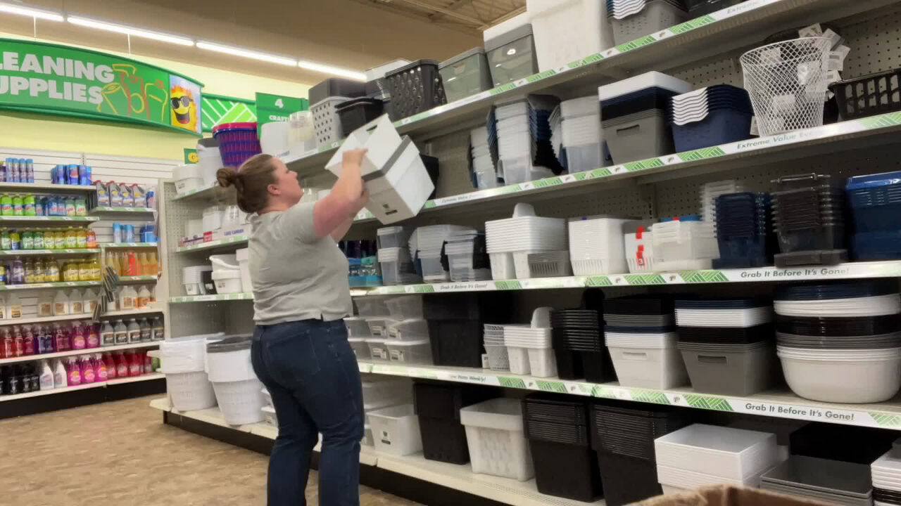 Dollar Tree kitchen organizing hacks