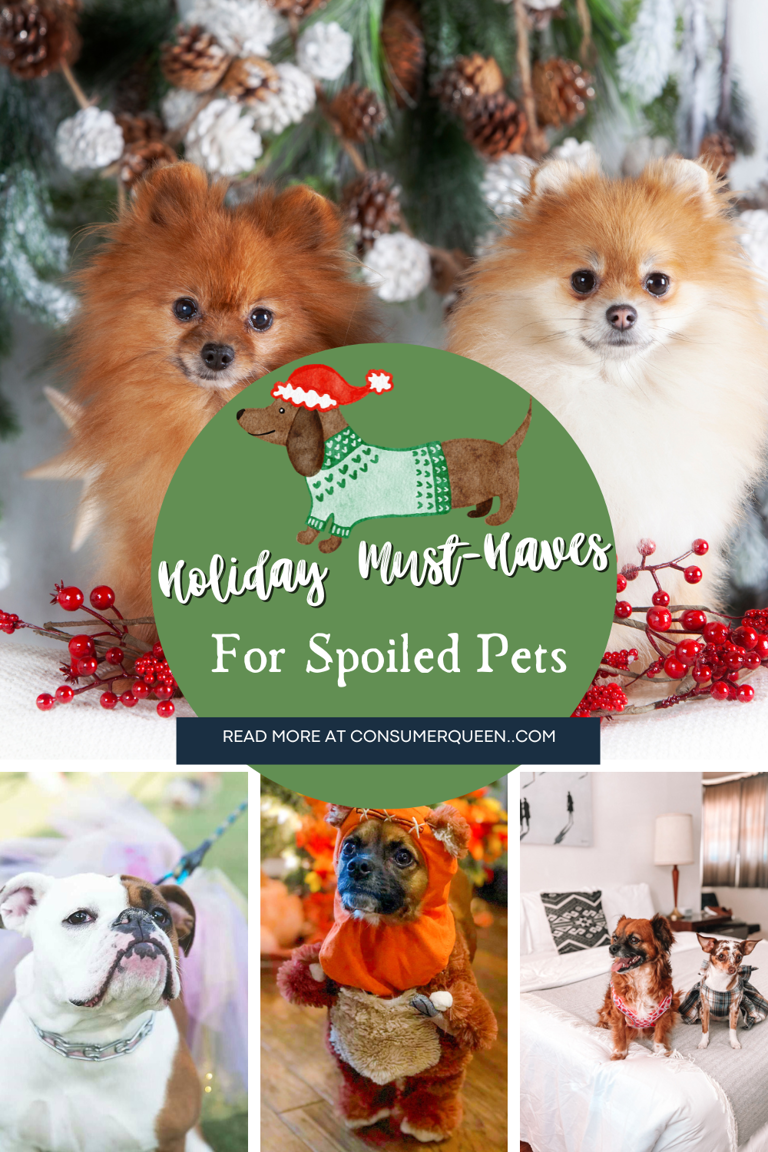 Happy Pawlidays: Holiday must-haves for spoiled pets
