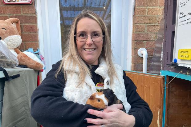 'Heartbreaking' - Owner of guinea pig rescue urges people not to buy ...