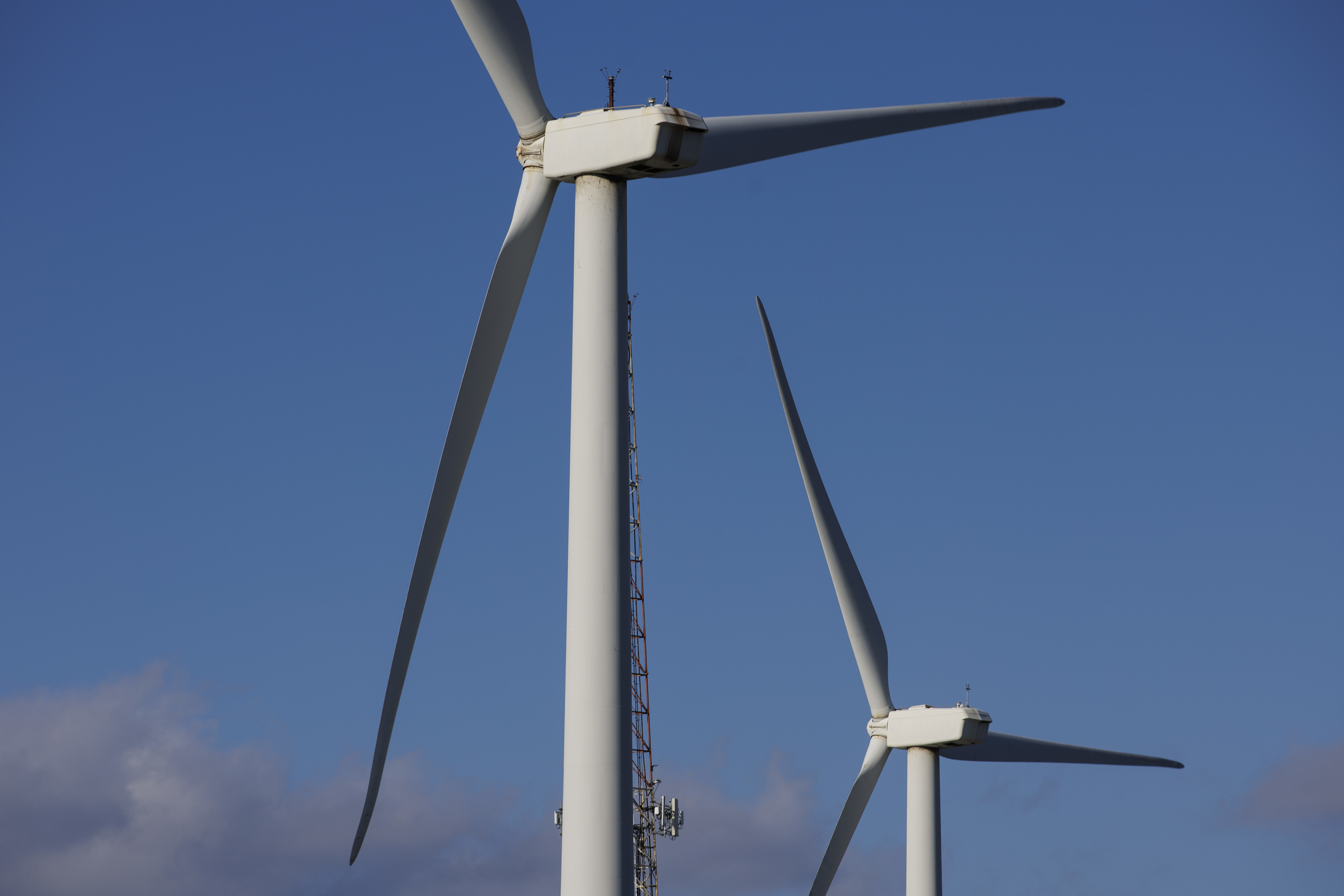 Once opposed, AC wind farm has become a landmark 20 years later