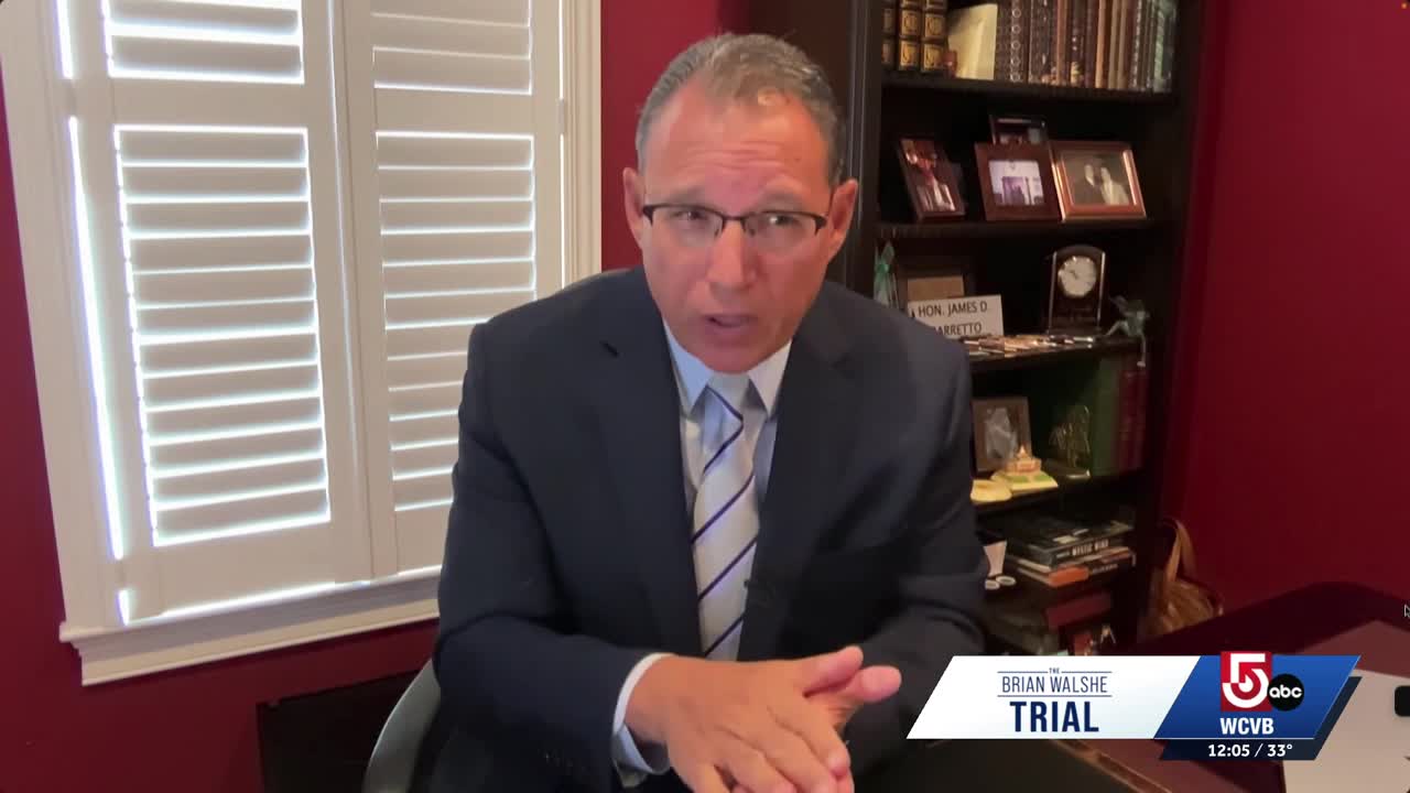 Retired judge analyzes prosecution's case against murder suspect Brian ...