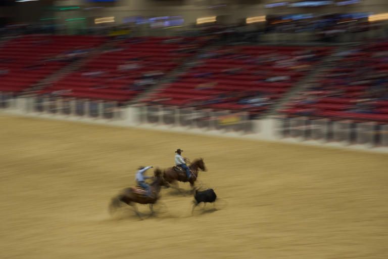 Threat of equine virus looms over major rodeo event in Las Vegas