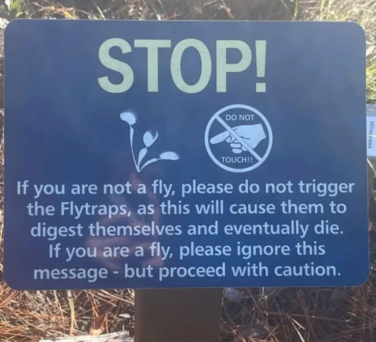 14 signs that prove humor is alive, unhinged, and a little diabolical