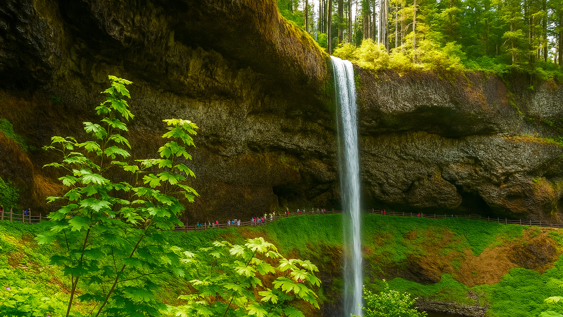 Silver Falls State Park Oregon scenic walk (4K)