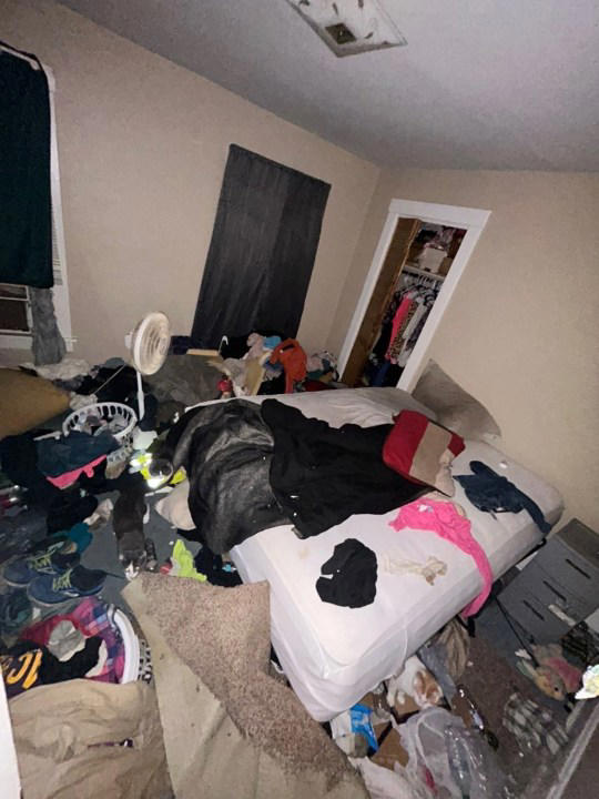 A complete landfill: 26 cats, 4 children removed from Ohio home, 2 ...