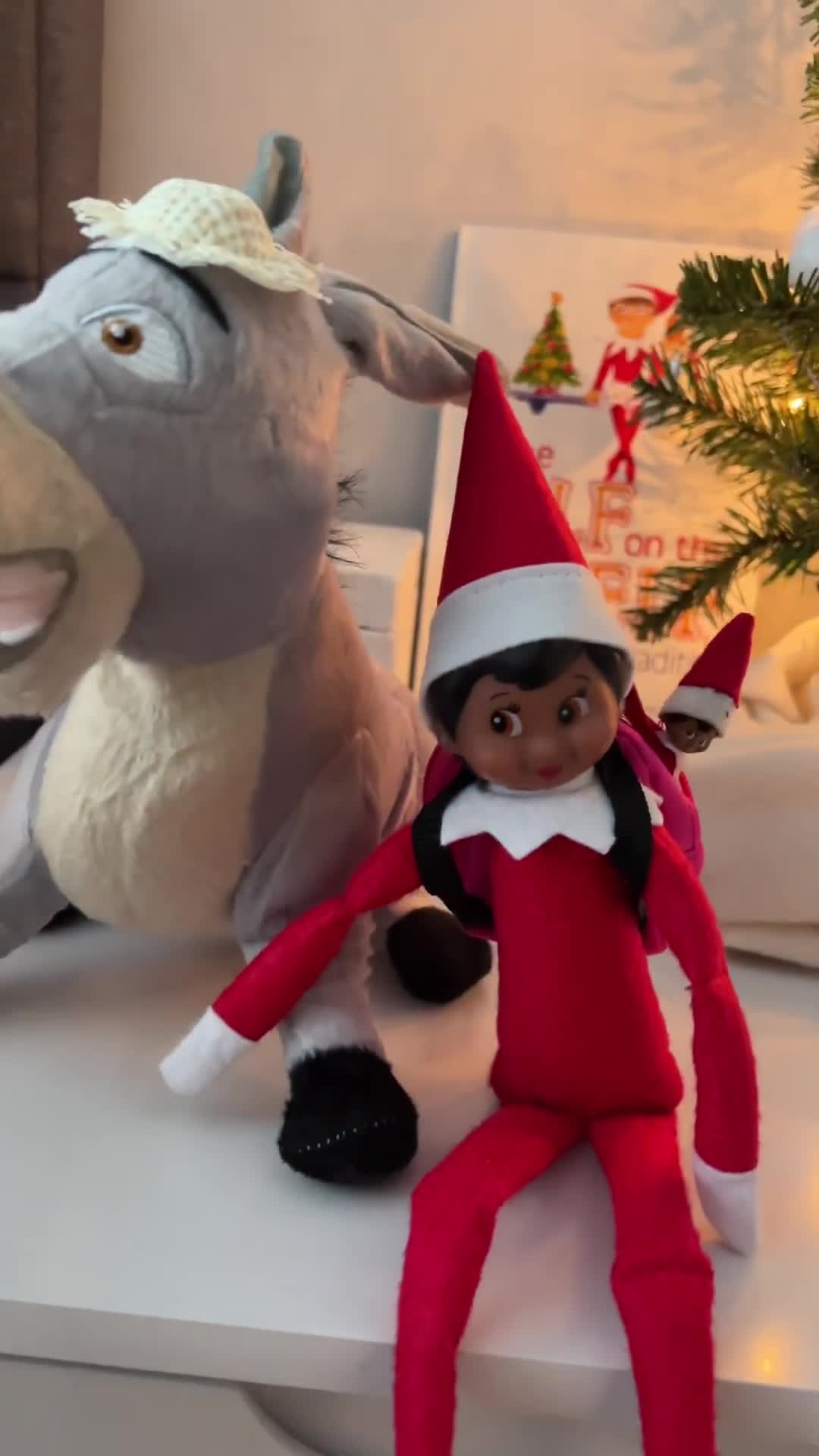 Dominican 🇩🇴 elf on the shelf #shortsmaschallenge #shortsmas # ...