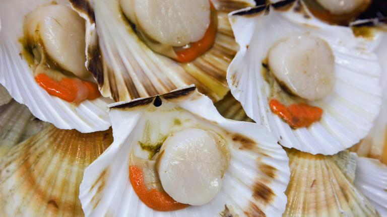 Are your scallops fake? Here are 5 warning signs to watch for