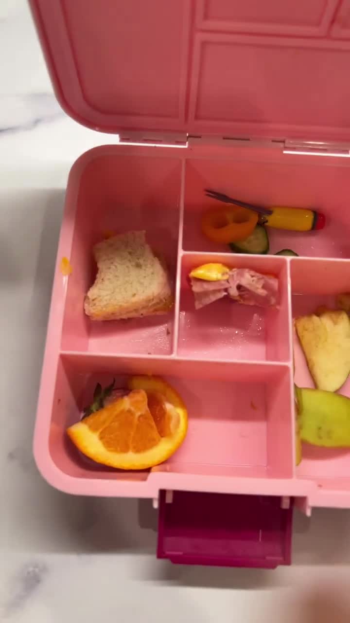 What came home #viral #kidslunchbox #bentobox #lunchbox #tinatakeslunch ...