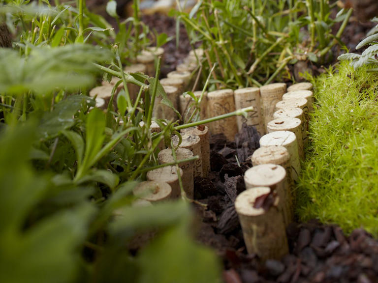 Don’t toss wine corks—use them in your garden with these 7 ideas