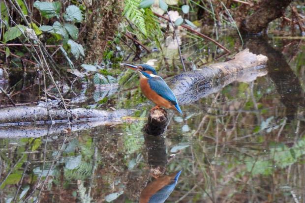 Take a look at these 4 fab pictures taken by our readers