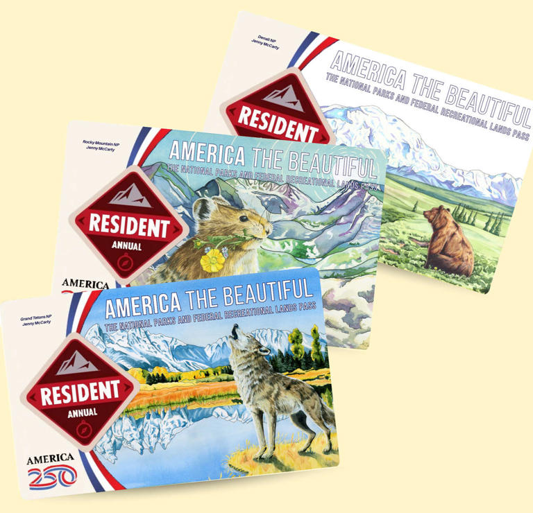This artist created a work-around to Trump's face on national parks passes