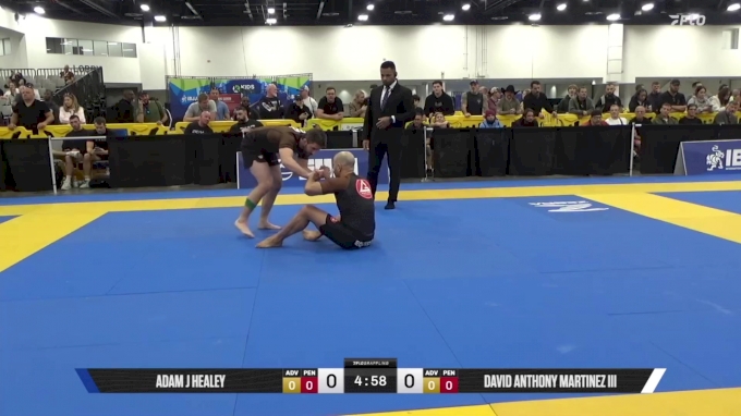 David Anthony Martinez III vs Adam J Healey 2025 World IBJJF Jiu-Jitsu ...