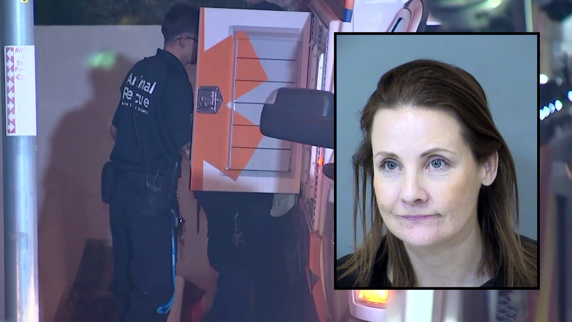 Chandler woman to be sentenced in animal cruelty and fraud cases