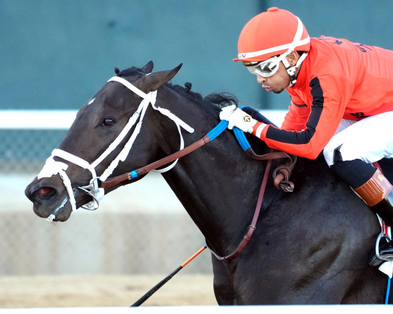 Dirty Rich goes gate-to-wire in Advent Stakes