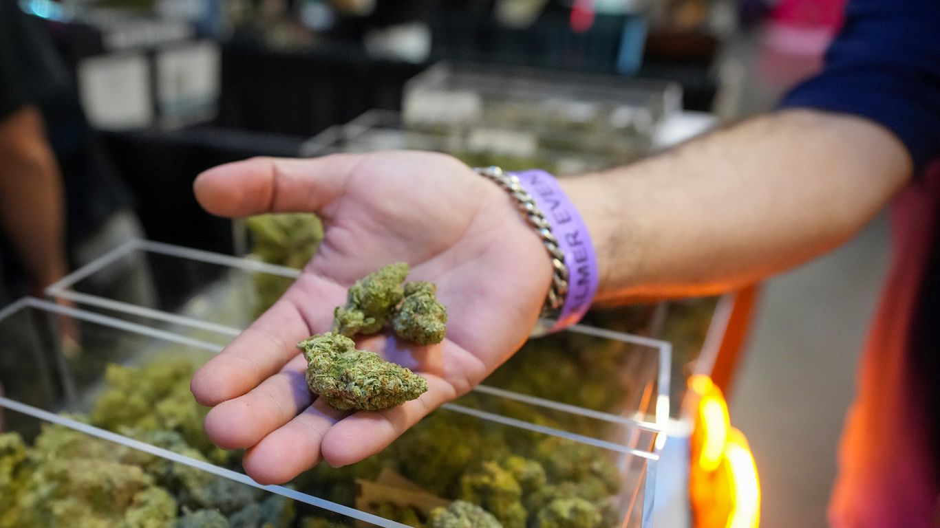 Trump signals marijuana pivot. Here's how federal and state cannabis ...