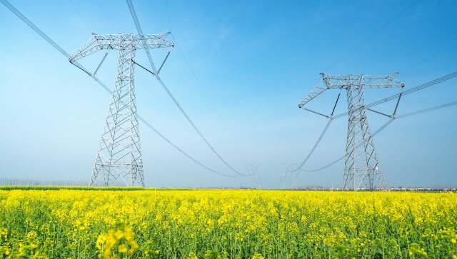 Farmers discover unexpected benefits of solar panels on cropland: 'Can ...