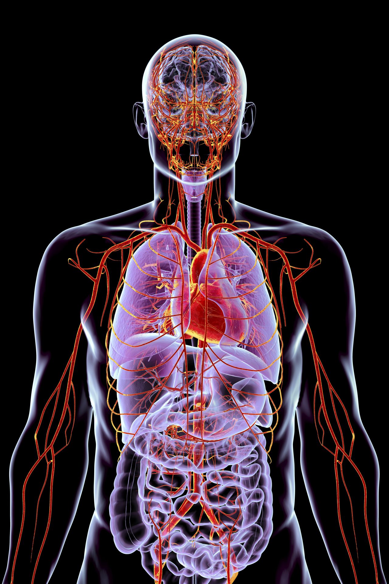 Ultra-processed foods threaten every major organ in our bodies