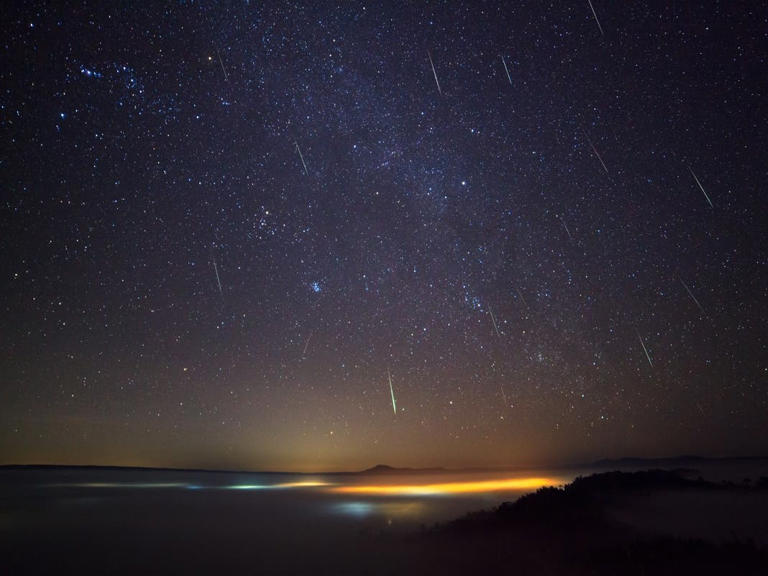 2025’s top meteor shower peaks this weekend: How to see Geminids in FL
