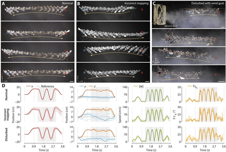 Tiny flapping drone matches insect speed with an AI brain