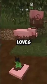 The Minecraft Earth mud pig variant