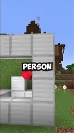 Minecraft portal block optical illusion
