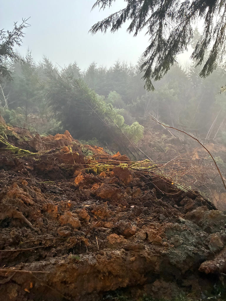 ODOT: Rebuilding Hwy 229 after landslide near Siletz may take years