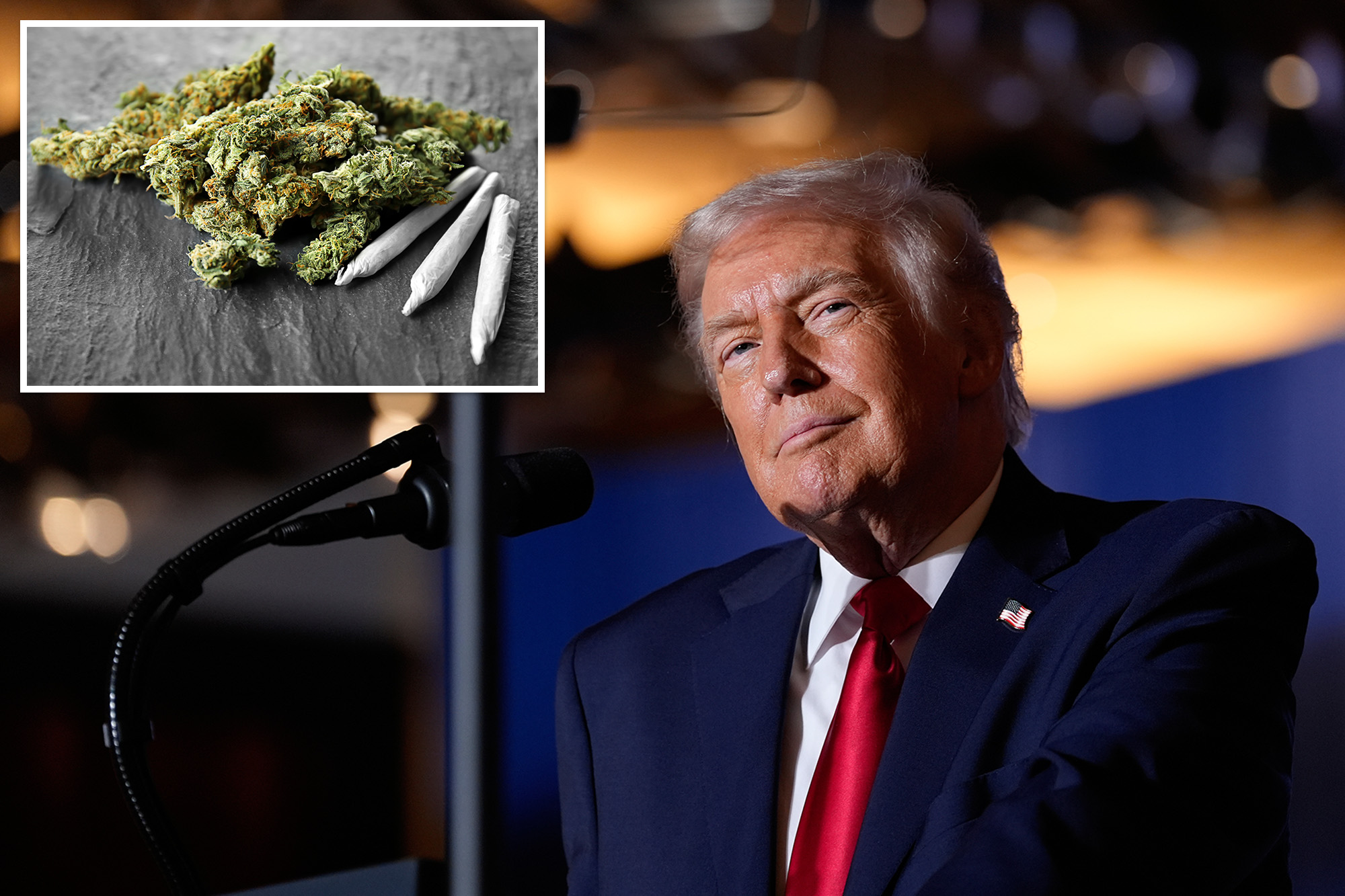 Cannabis stocks spike on reports Trump plans to ease federal pot ...