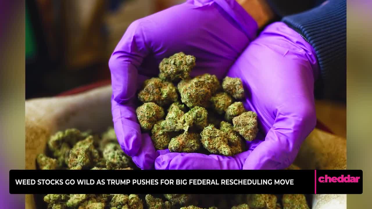 Weed stocks go wild as Trump pushes for big federal rescheduling move
