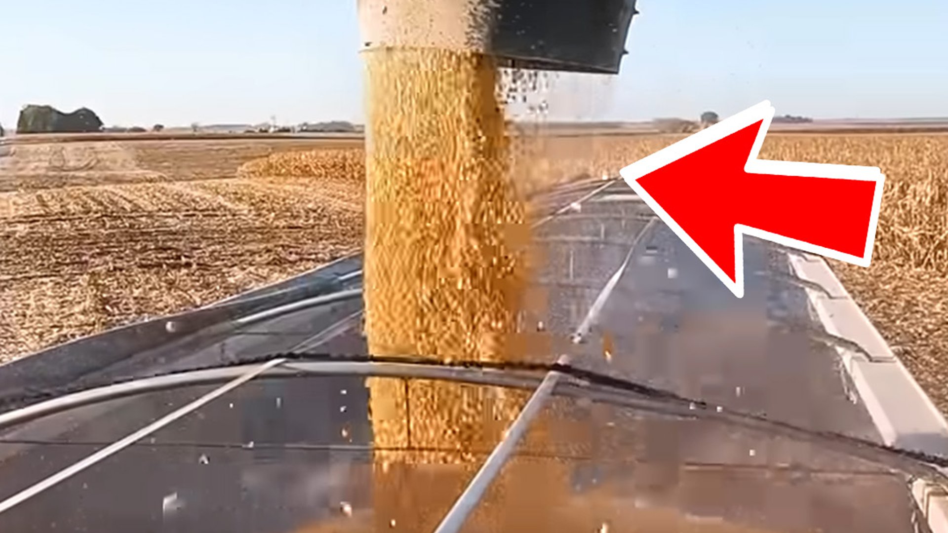 The toughest cab corn yet