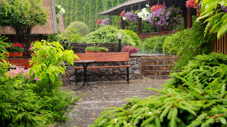 The Best Plants For A Rain Garden That Really Solves Your Flooding Problem