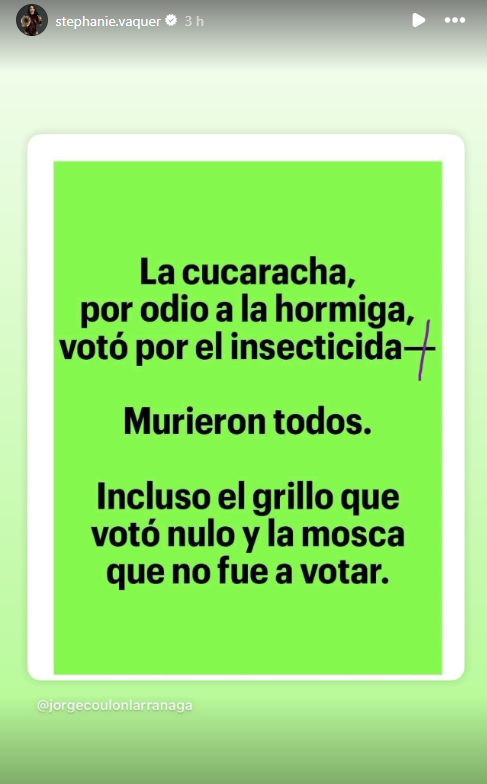La mosca que no fue a votar: el mensaje de Stephanie Vaquer previo a ...
