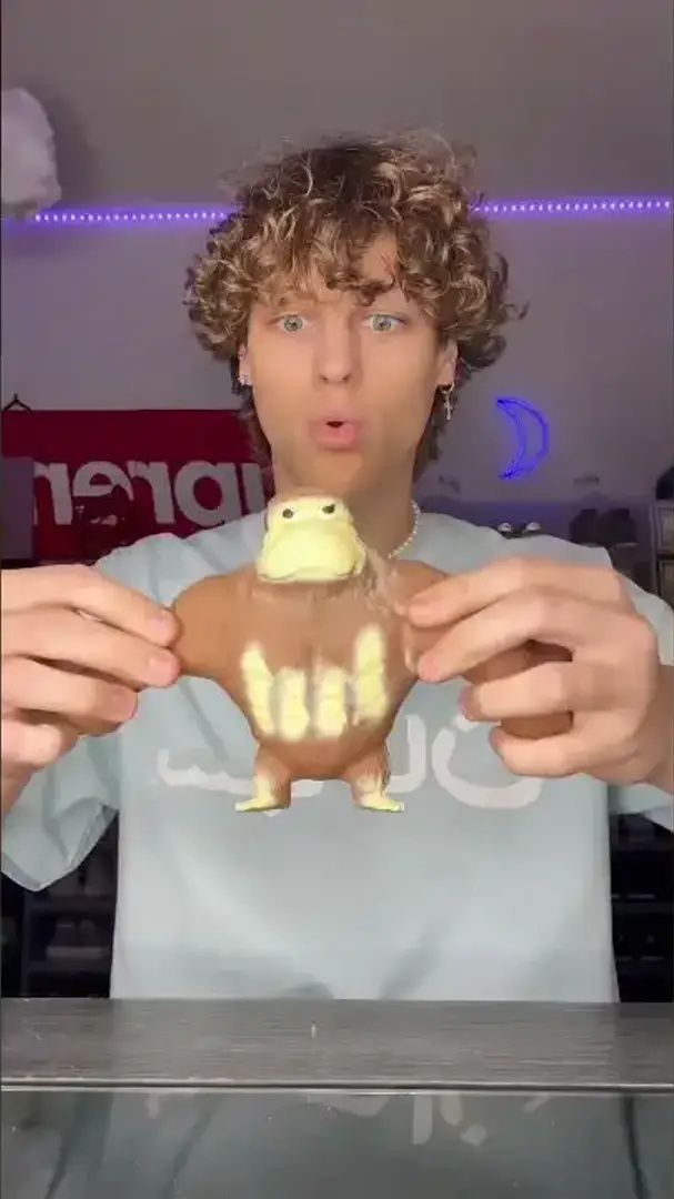 Monkey splat toy drop test!